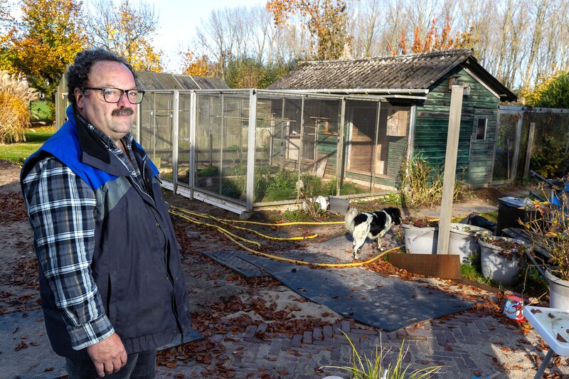 Vogelgriep slaat toe bij Achterhoekse hobbyboer Sjaak: ‘Toen ze de klep ...