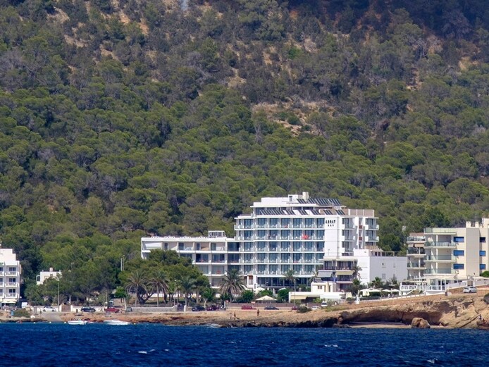 Nederlander (58) sterft op Ibiza na inname van hallucinerend paddengif ...