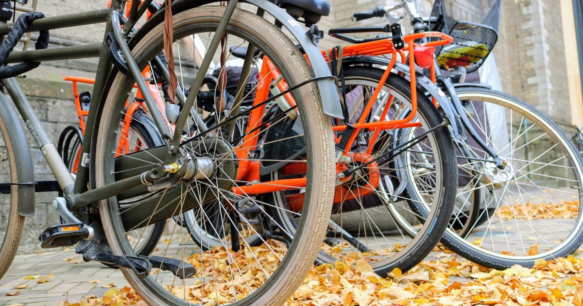 Fietsie foetsie! Zoveel fietsen werden vorig jaar gejat in Arnhem ...
