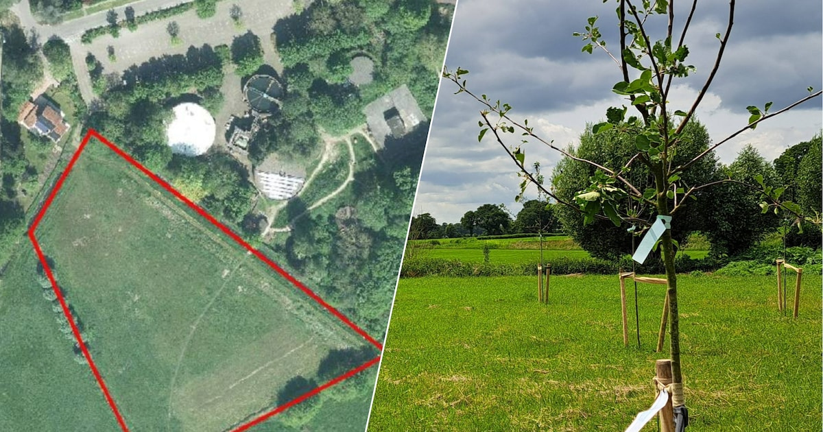 Berkelland grijpt in: kankerverwekkende stoffen uit weiland gehaald ...