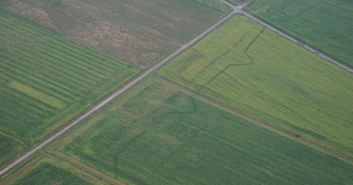 Op zoek naar nog verborgen ‘schatten’ op slagveld van Frederik Hendrik ...