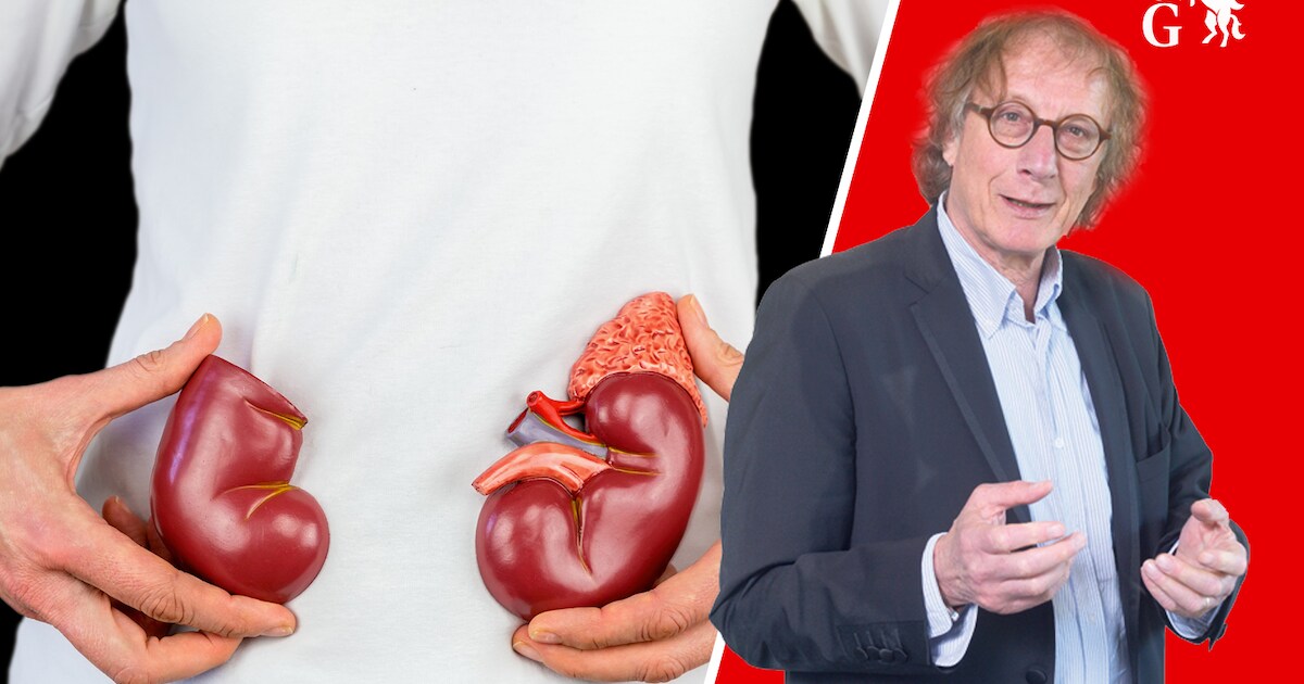 Ik ken mensen die het eten van niertjes aantrekkelijk vinden, in mijn ...