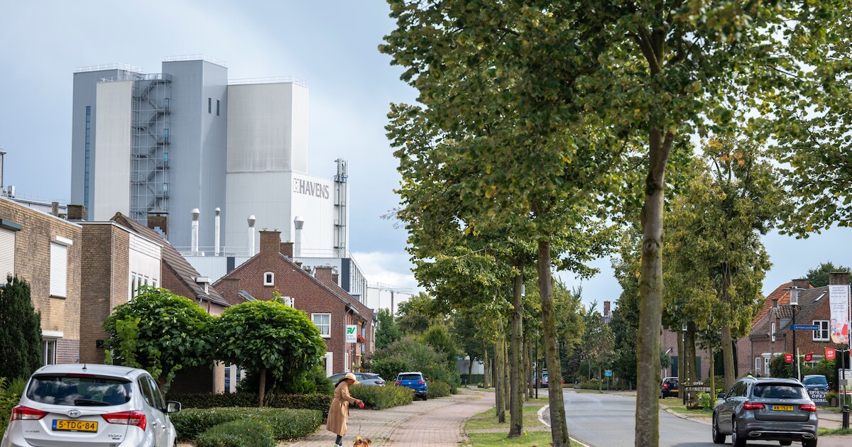 En opnieuw is daar die ene vraag: moet de Grote Witte Reus uit dit dorp ...
