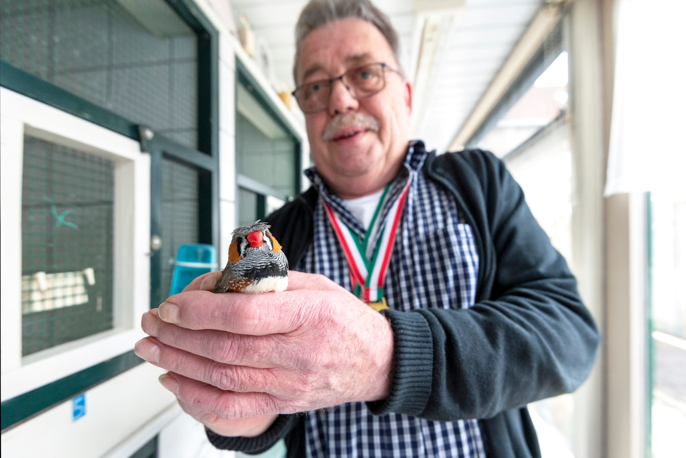 John Castelijn pakt goud en zilver met zijn vogels op het WK: ‘Het is ...