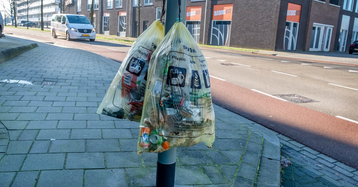 Plastic afval te vroeg buiten: kraaien en roeken slaan hun slag | Regio ...