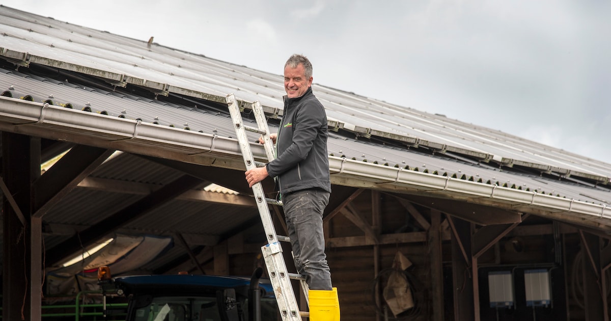 Frustratie bij boer, maar Maldens zonnepark ‘komt er zeker’ | Heumen ...