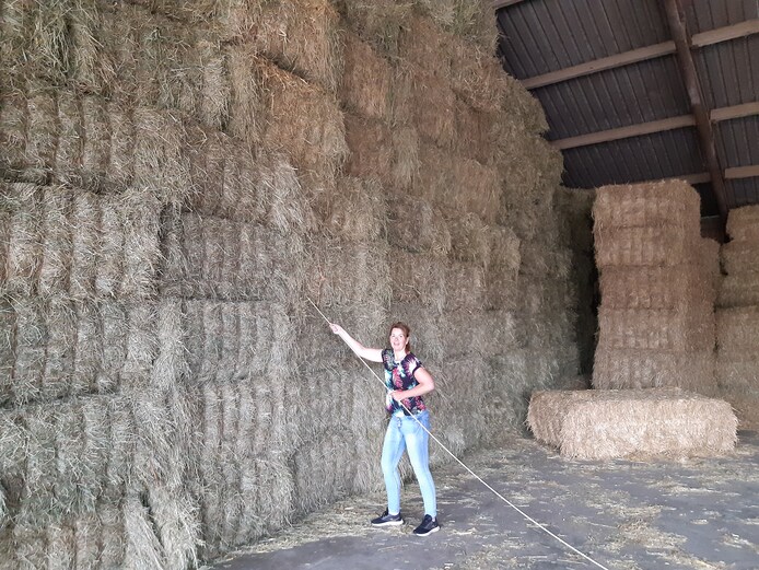 Juli hooimaand; de zalige geur van vers gedroogd gras én de gevaren ...