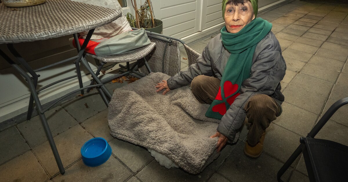 Odille (83) zoekt wanhopig naar haar geliefde buurtkat: ‘Hoe moet Flip ...