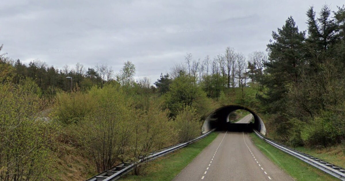 Waarom doeken nodig zijn bij een nieuwe verflaag voor Veluws ecoduct ...