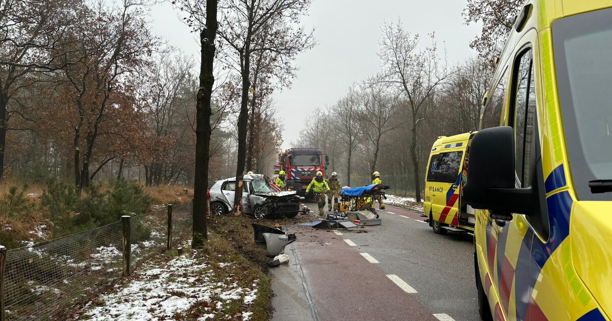 Te veel gedronken en veel te hard tegen een boom: zijn vriend brak zijn ...