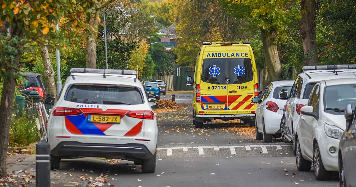 Man die dak op wil klimmen in Oosterbeek valt van ladder: met spoed ...