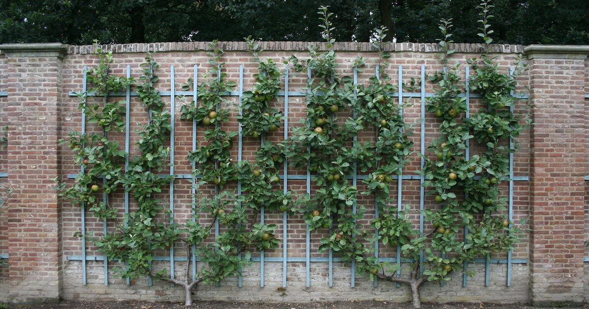 Fruitrondleidingen tijdens Monumentendag op Middachten | Rheden | De ...