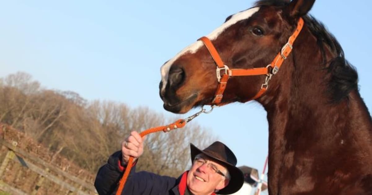 De paardenpassie van Cees Vink | Overig | De Gelderlander.nl