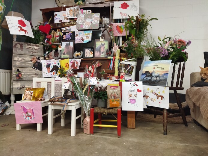 Manege na dramatische dood pony's: ‘Zoveel steun, daar staan we echt ...