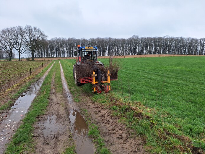 Hoera voor de natuur: in korte tijd dik 2 kilometer aan hagen erbij bij ...