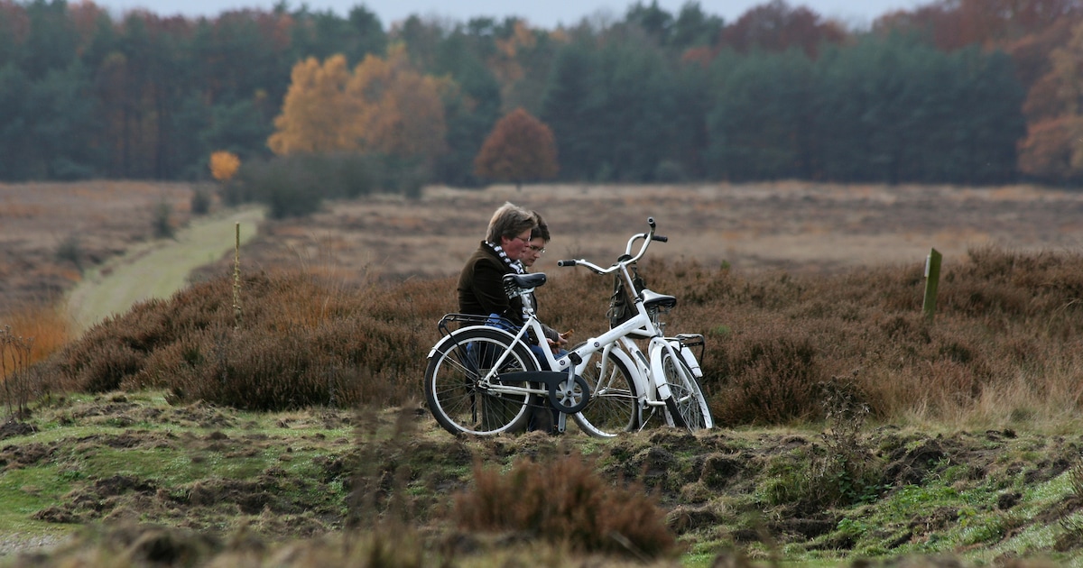 Hét symbool van de Hoge Veluwe bestaat 50 jaar: ‘Iedereen wil er altijd ...