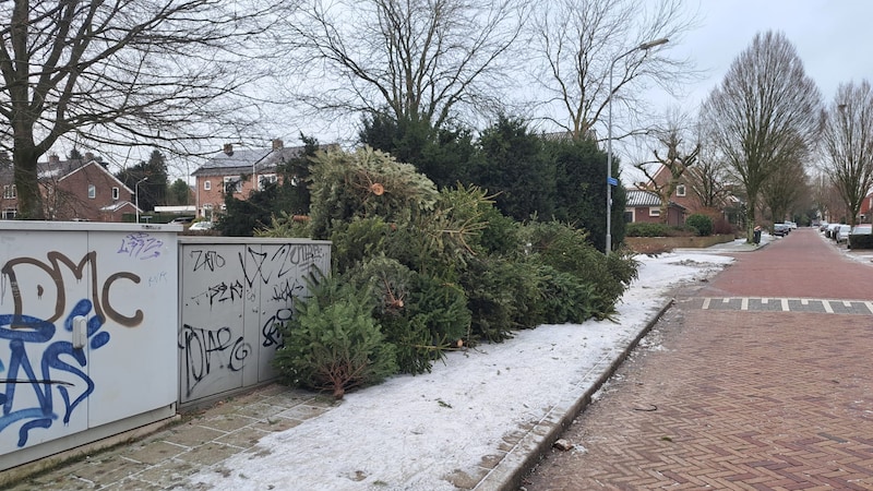 LIVE Sneeuw | Prorail: terugkeer naar normale dienstregeling is ...