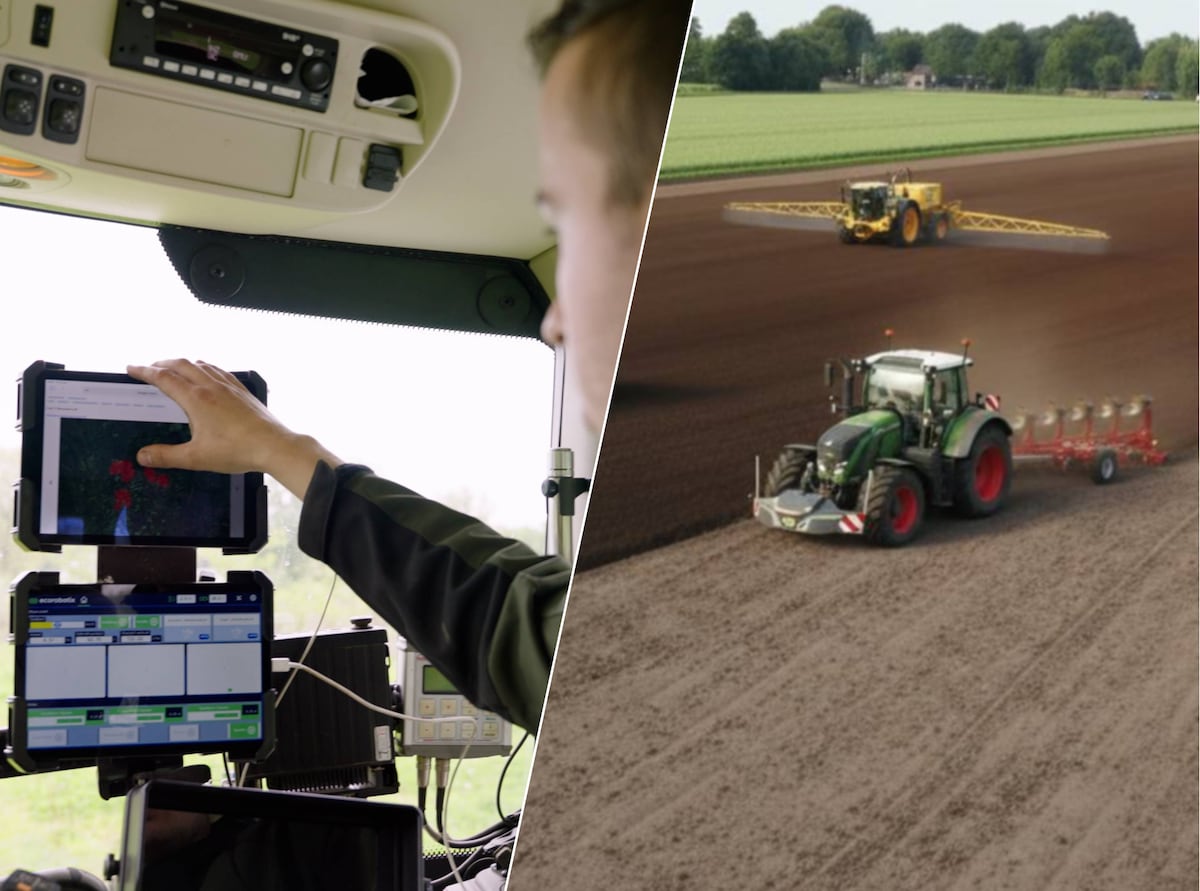 95% minder gif, 100% oogst: de landbouwrevolutie begint in dit gebied ...