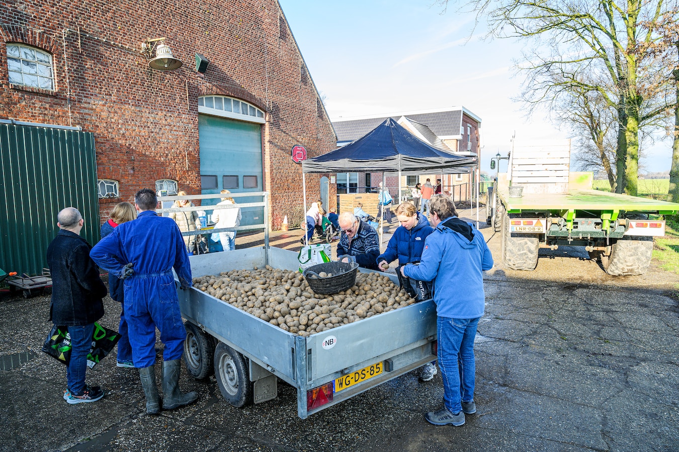 Honderden mensen redden vandaag 60.000 kilo ‘aardappelkneusjes’ op erf ...