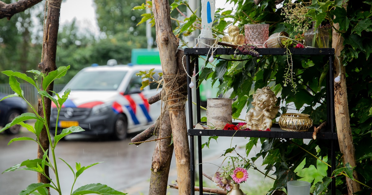 Teruglezen | OM eist tien jaar cel en tbs met dwangverpleging tegen Gert voor doodsteken Rob ...