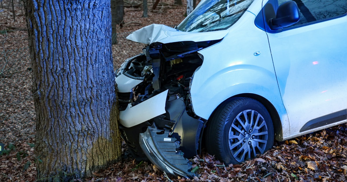 Man raakt gewond na botsing met boom langs N804 bij Arnhem | 112 nieuws ...
