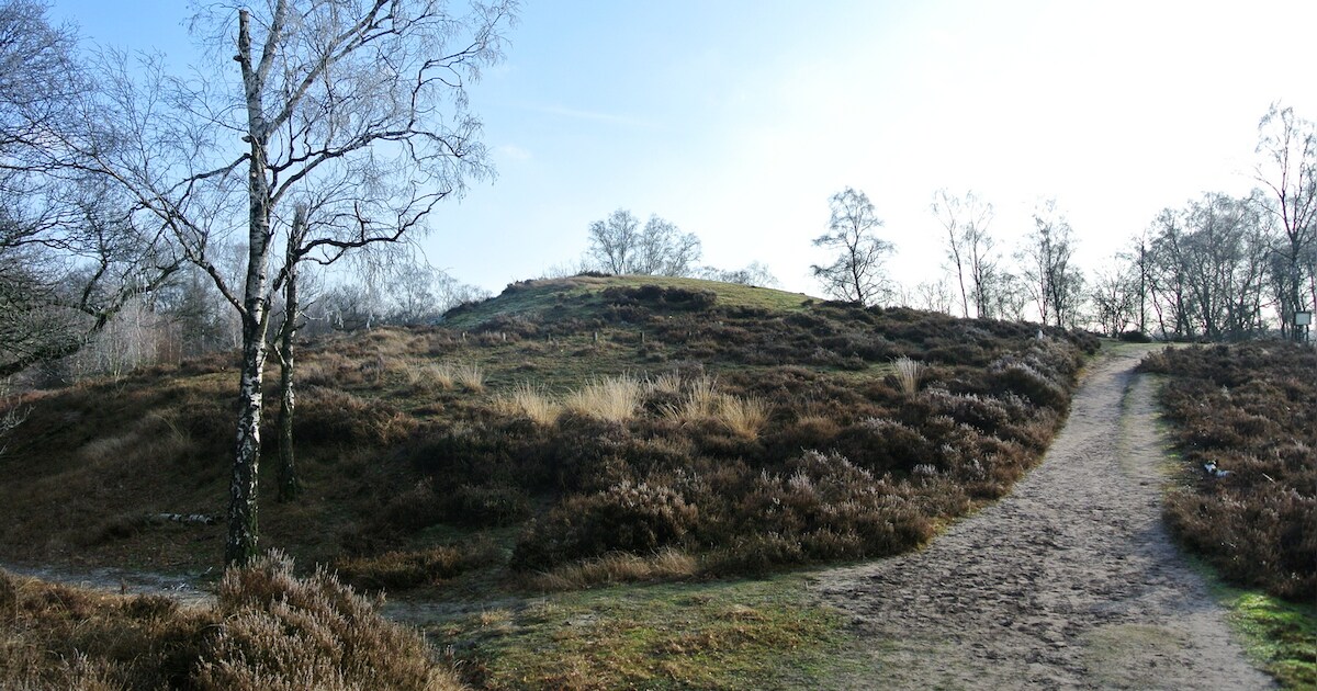 Wandelen door het heden en verleden op Landgoed de Hamert | Regio | De ...