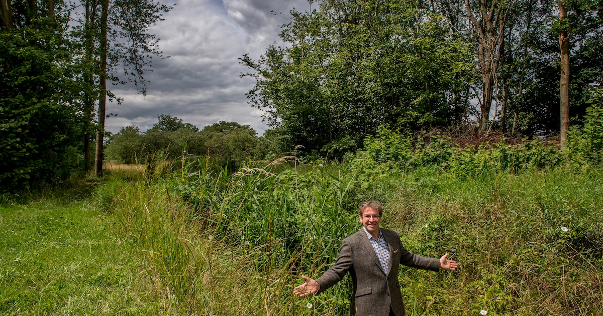 Landgoed Hemmen strijdt tegen rioolbuis onder bos en begraafplaats ...