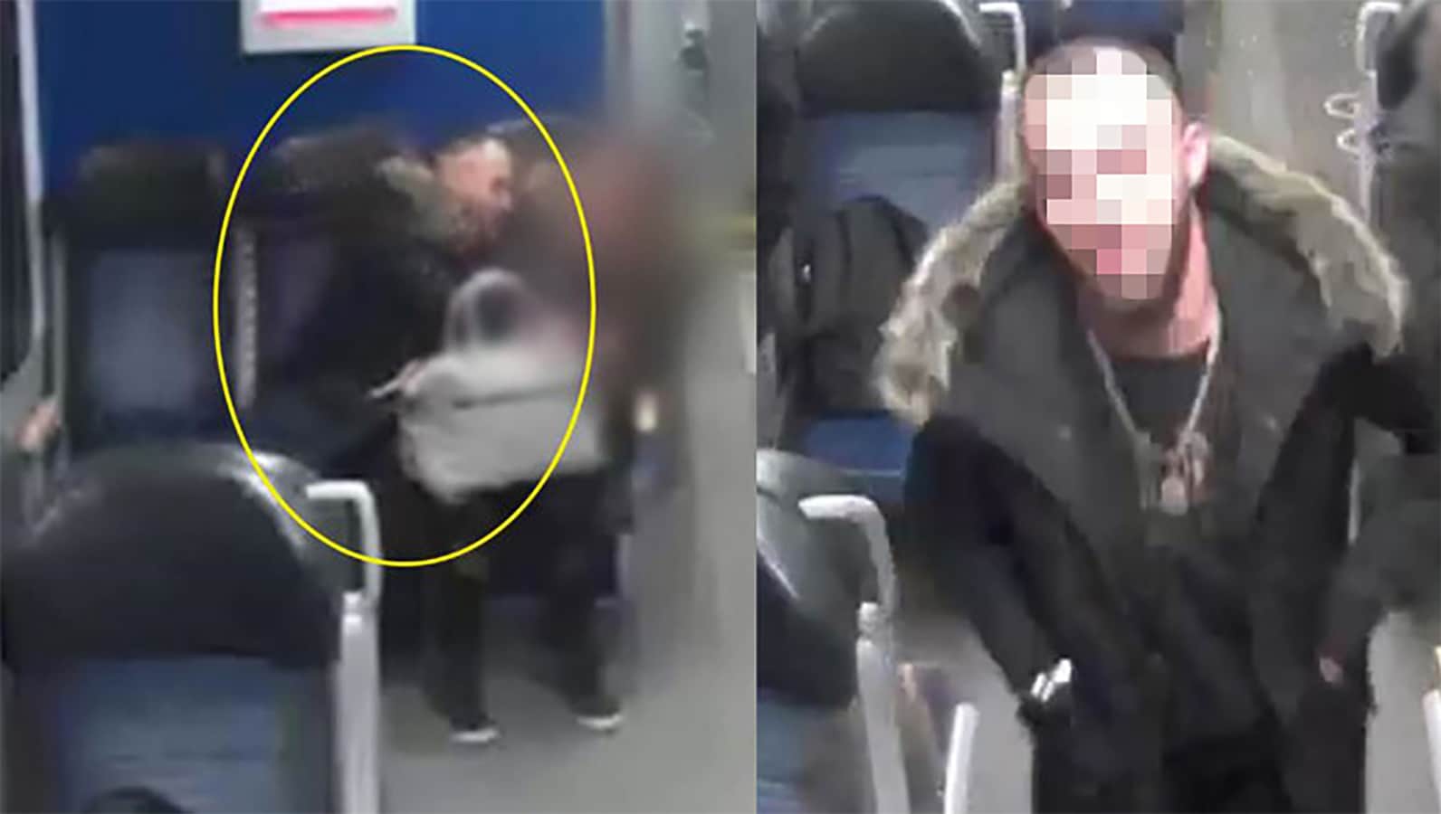 15-jarig meisje aangerand in volle treincoupé | Foto | gelderlander.nl