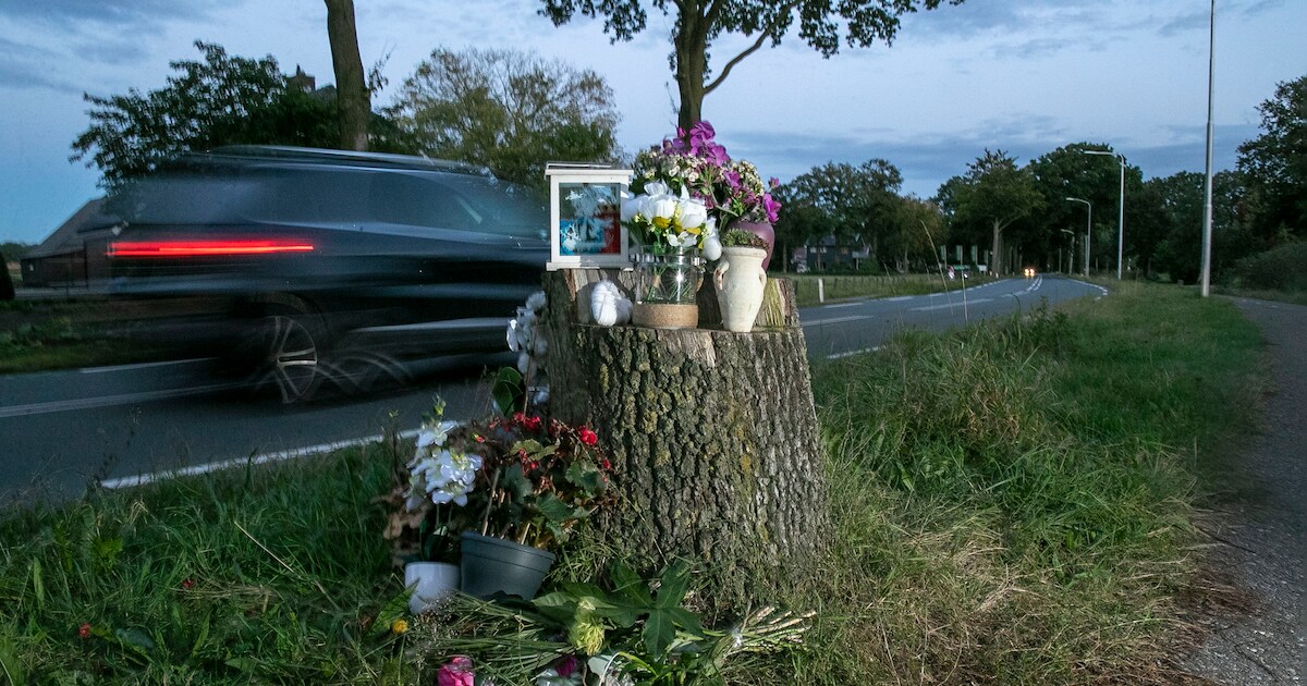 Hardrijder Max draait half jaar de cel in voor crash die Farid het ...