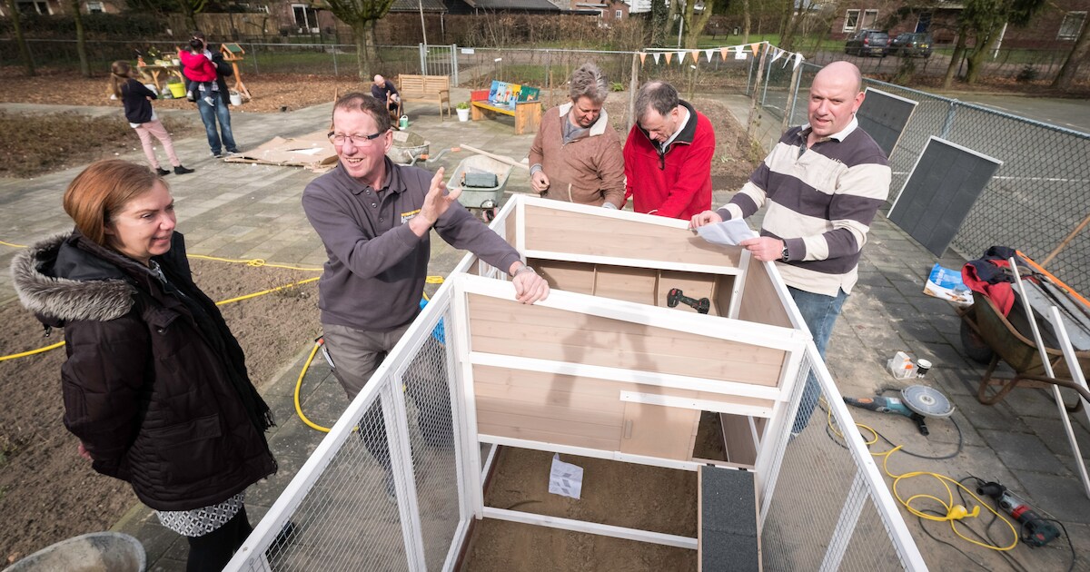 Merlijn in Doornenburg heeft er een kippenren bij | Lingewaard | De ...