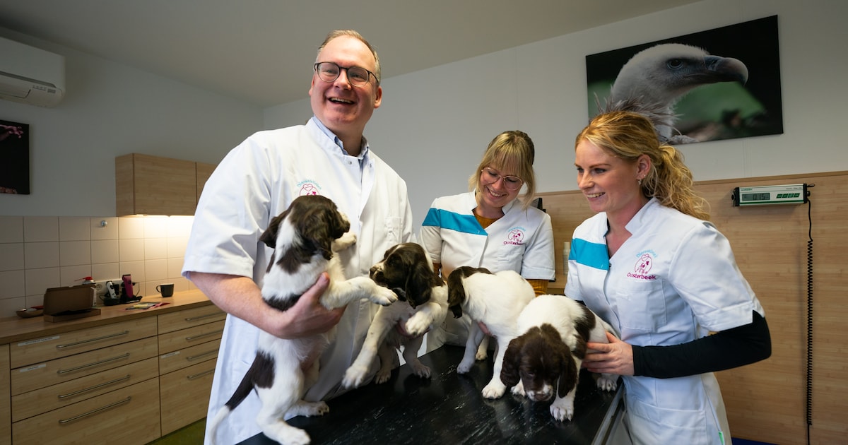 Dierenarts Hildeward richtte een megadierenziekenhuis op, maar gaat nu ...