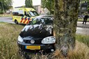 Automobilist raakt macht over stuur kwijt en botst tegen boom in Oisterwijk | Foto | gelderlander.nl