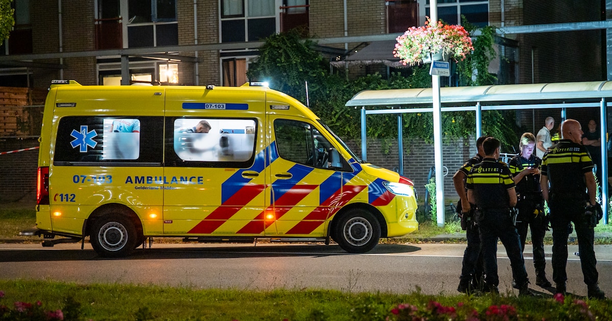 Man uit Nijmegen (52) mishandeld bij bushalte in Arnhem, buurtbewoner ...