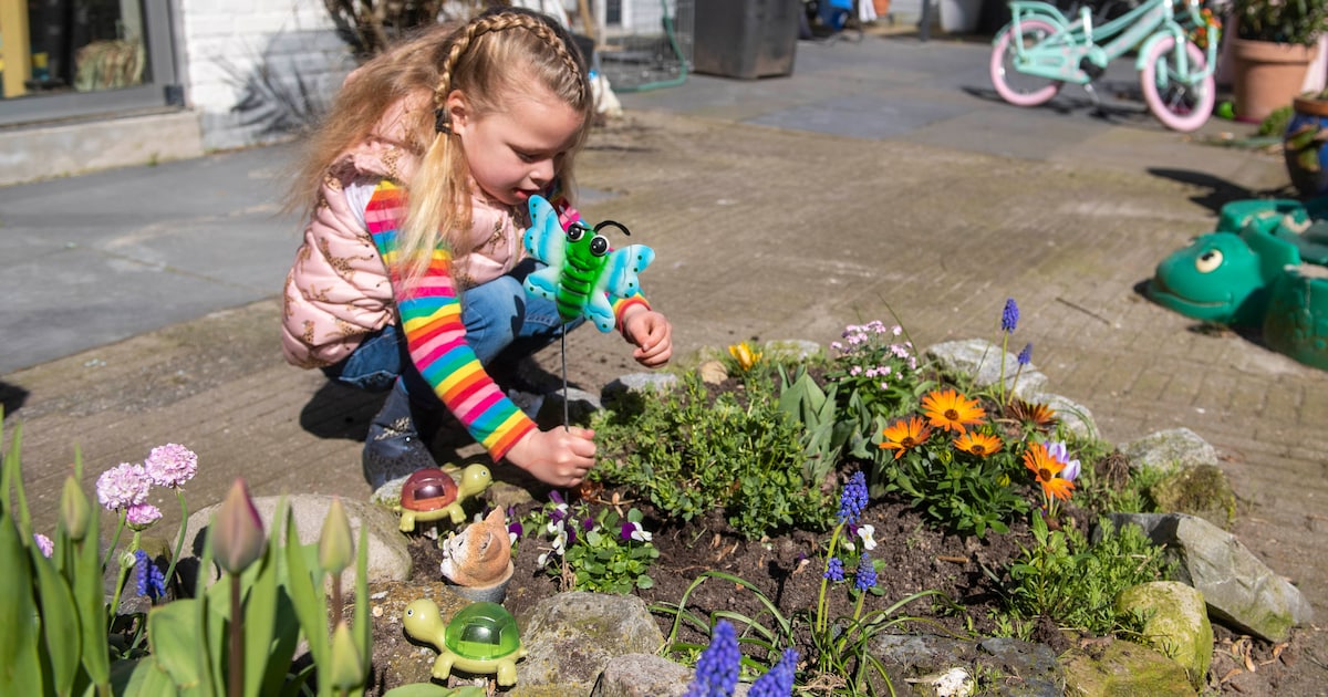 Tegel eruit, gratis plant erin: gemeente start speciale ...