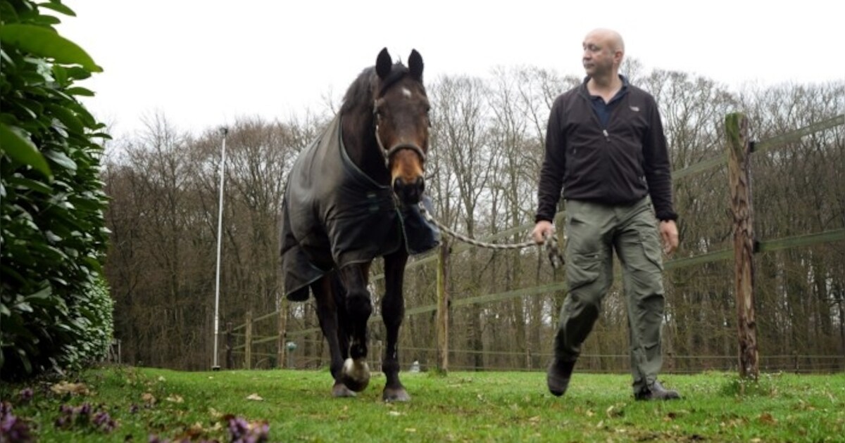 Oosterbeker helpt ruiters aan logboek | Arnhem | De Gelderlander.nl