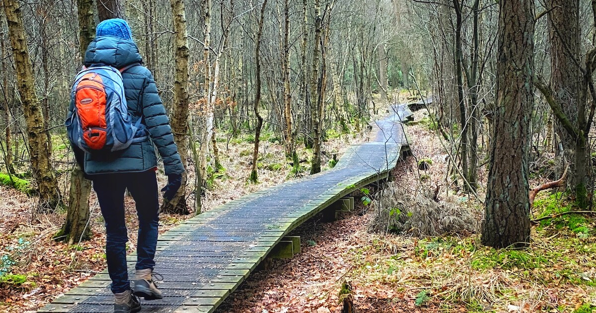 Gerdien en Rineke komen er al jaren: ‘Het natuurschoon van het Witte Veen heb je nooit alleen ...