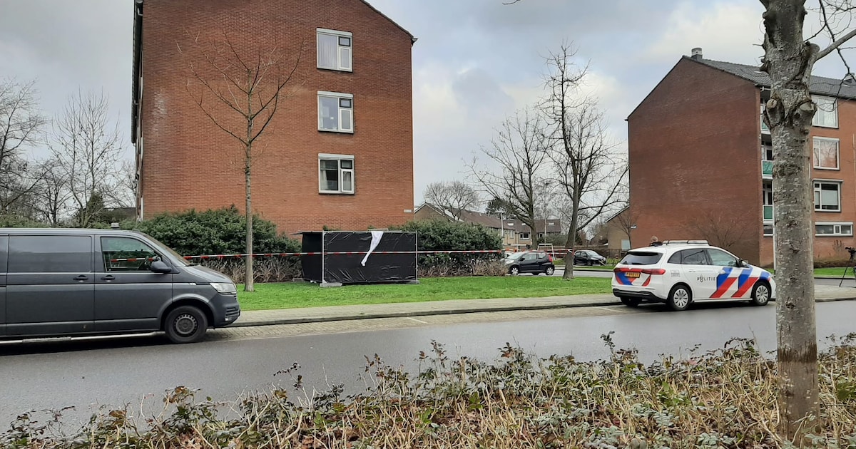Lichaam gevonden op straat in Deventer: politie sluit misdrijf uit | Binnenland | De Gelderlander.nl