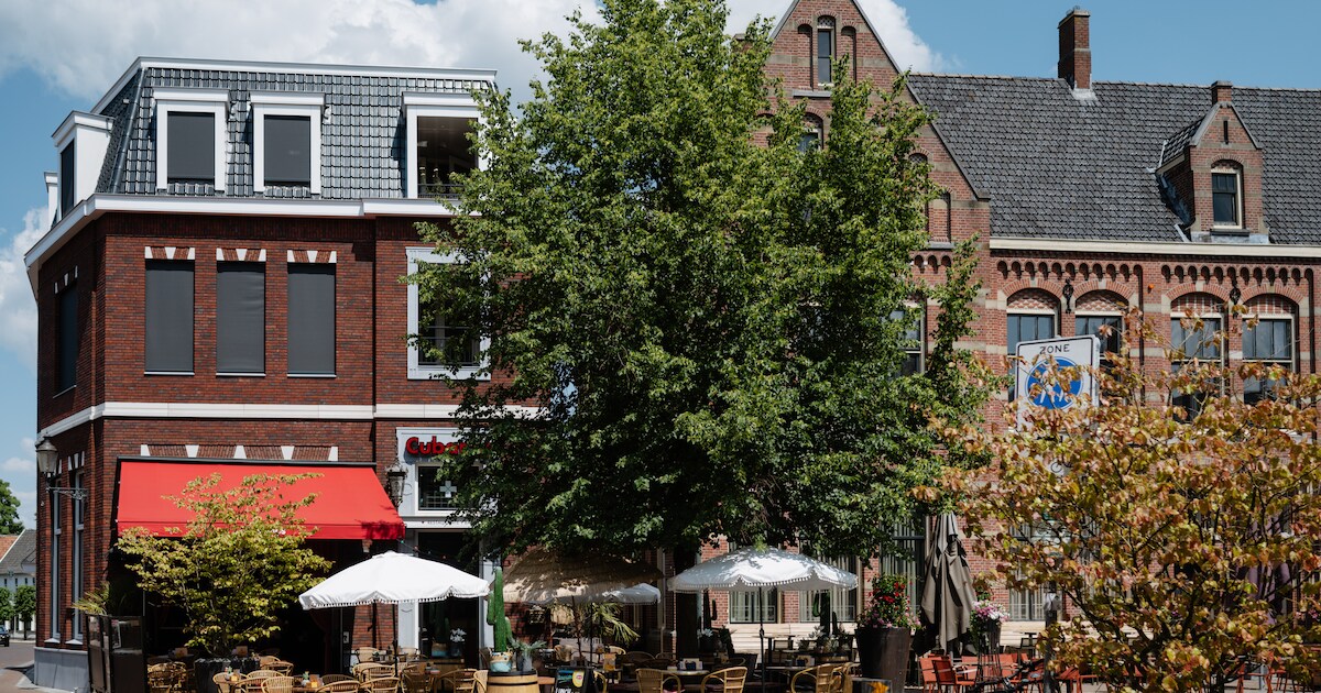 Oost Gelre wil meer woningen ‘in de kap’ mogelijk maken | Oost Gelre ...