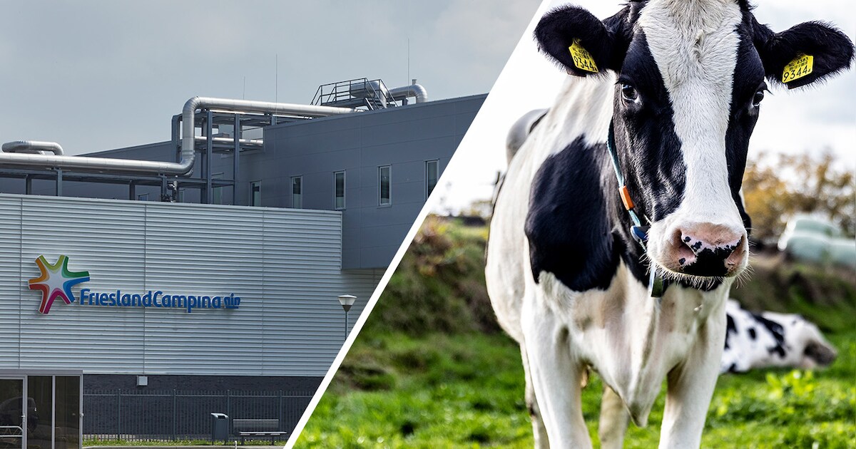 FrieslandCampina schrapt 1800 banen, gedwongen ontslagen ...