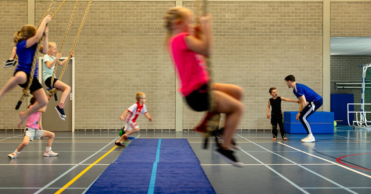 Gymdocent wordt gek van lawaai in sportzaal: ‘Risico op gehoorschade ...