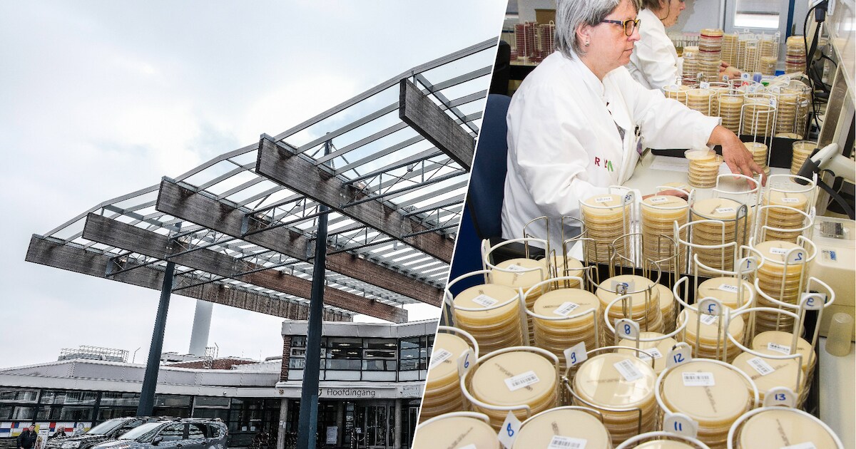 Uitbraak VRE-bacterie in Achterhoekse ziekenhuizen lijkt bedwongen ...