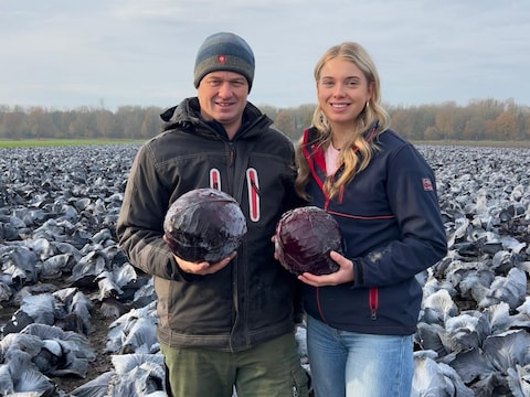 Boer Johan heeft ruim 100.000 kilo rode kool over, dan verzint zijn dochter Ilse een oplossing ...