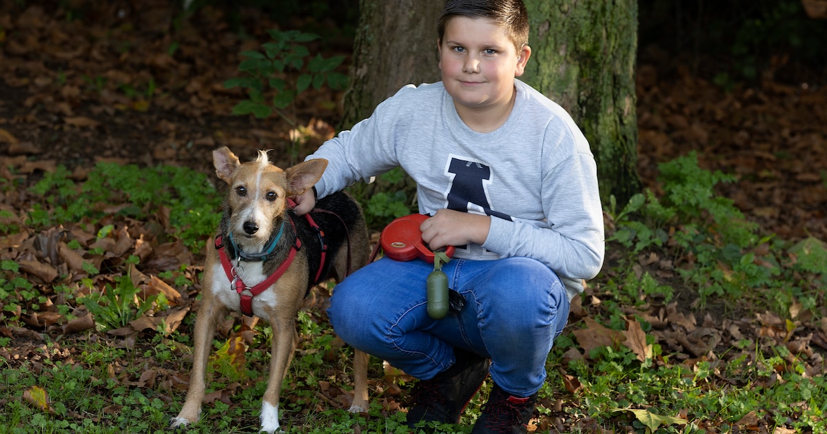 Is hond Raissa uit Tolkamer het leukste huisdier van het jaar? ‘Die ...