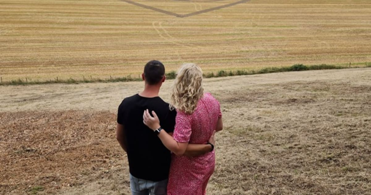 Boer vindt vrouw: Nederlandse Jipp zegt ‘ja’ tegen Duitse Henrik na ...