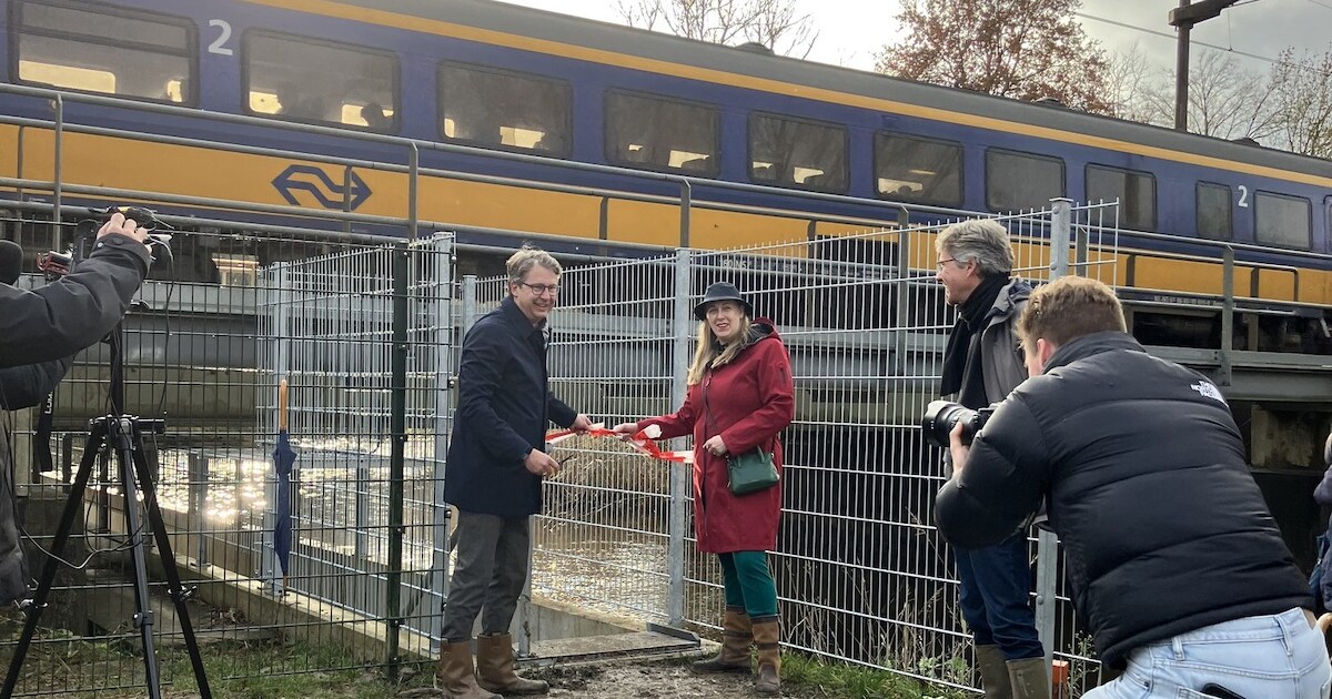 Haarens pad naar kasteel Nemerlaer veiliger: nieuwe spoortunnel vervangt onbeveiligde overweg ...