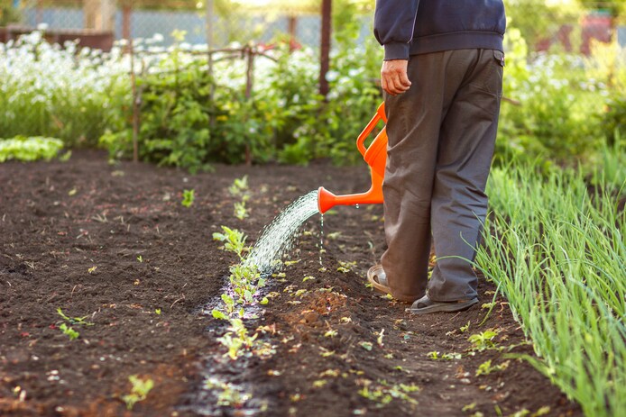 Mannen op leeftijd: geen vrienden, solitaire hobby’s, alleen een vrouw ...
