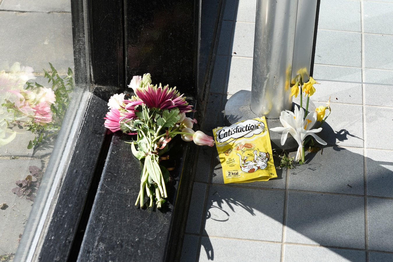 Reizigers pinken traantje weg na overlijden geliefde stationskat Clyde ...