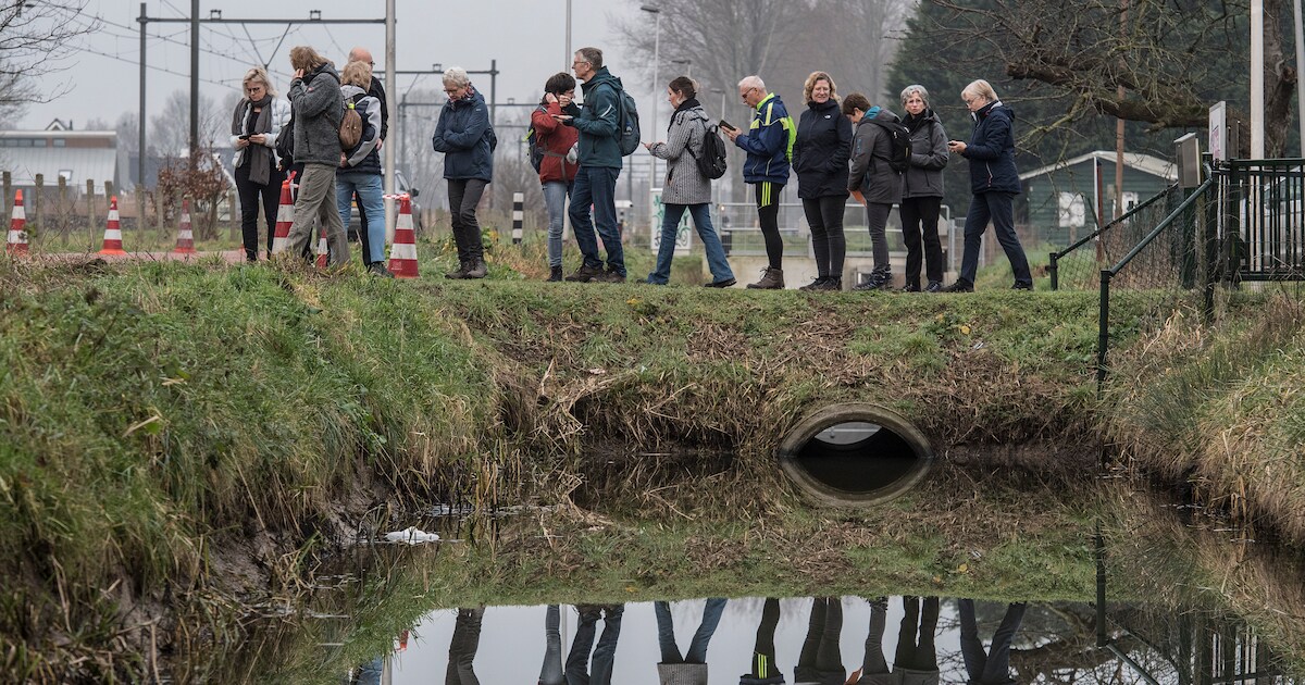 Belangstelling voor wandelen blijft, ook na verdwijnen Bloesemtocht ...