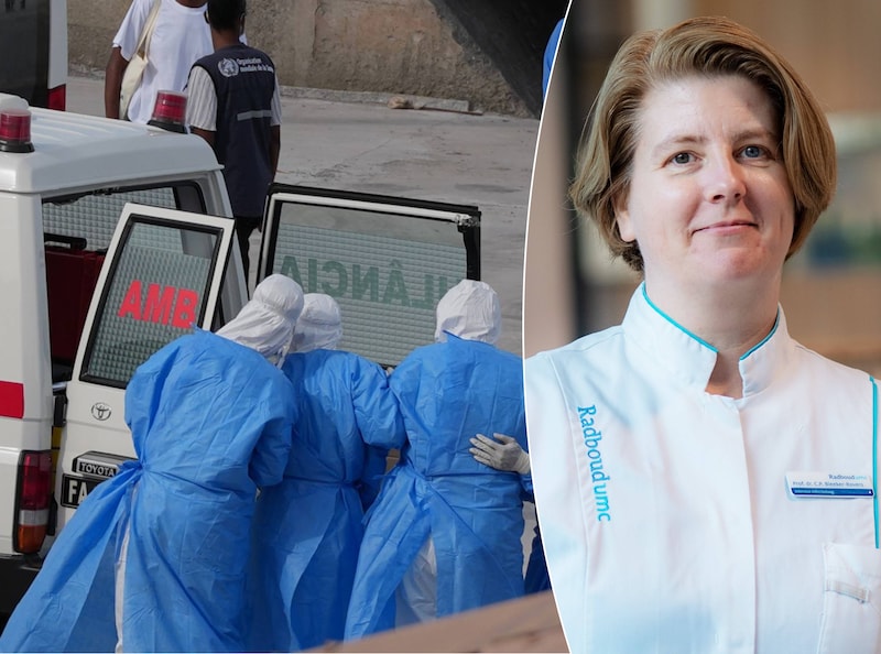Drie doden door virus op cruiseschip: hoe groot is het risico voor ons ...
