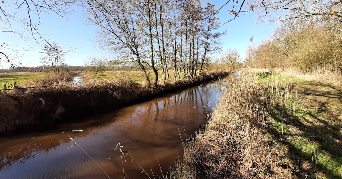 ‘Help me, help me, ik ben aangeval­len’: boswande­ling in Bergen op ...